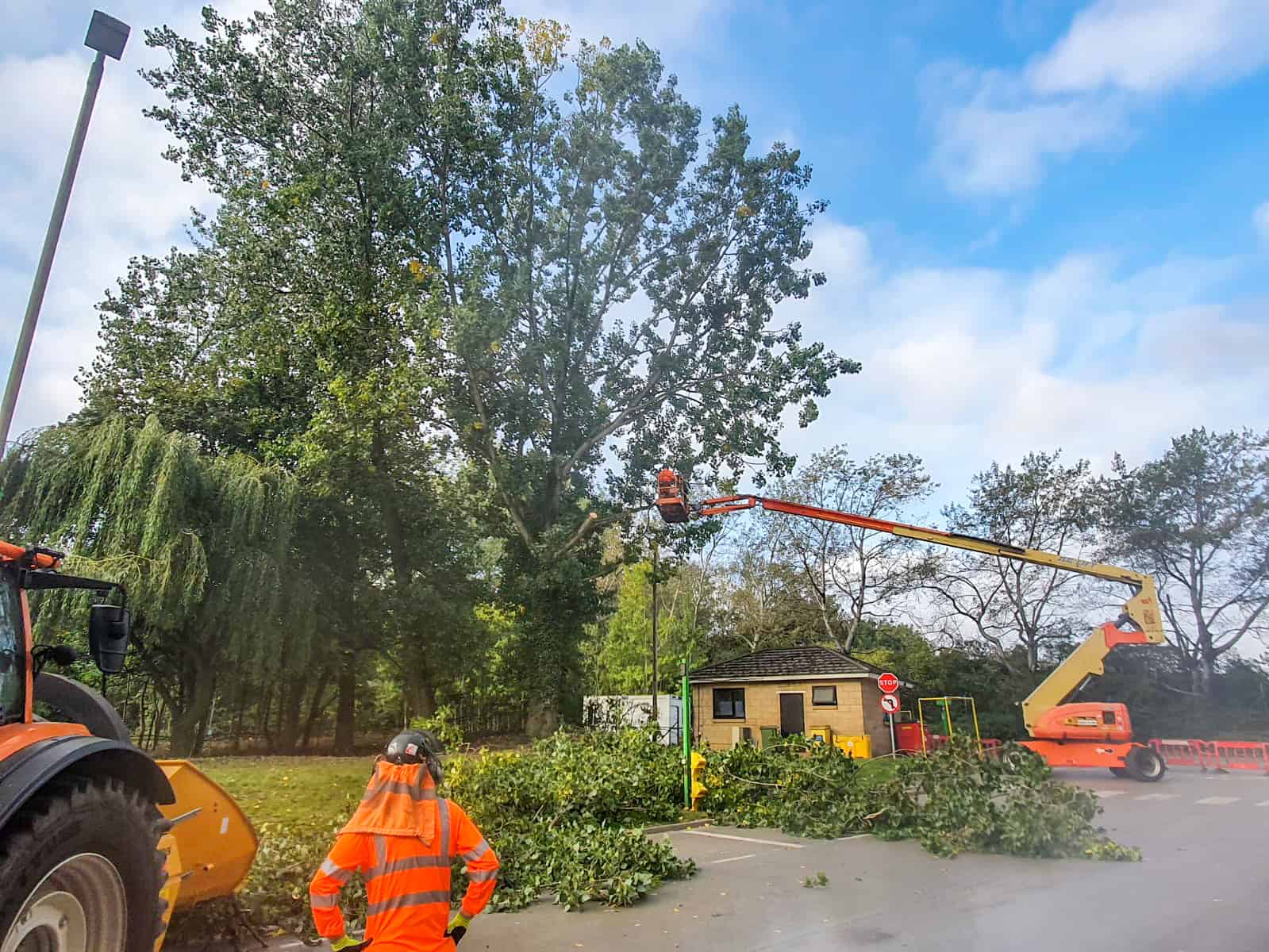 Mechanical Tree Surgery – PB Forestry